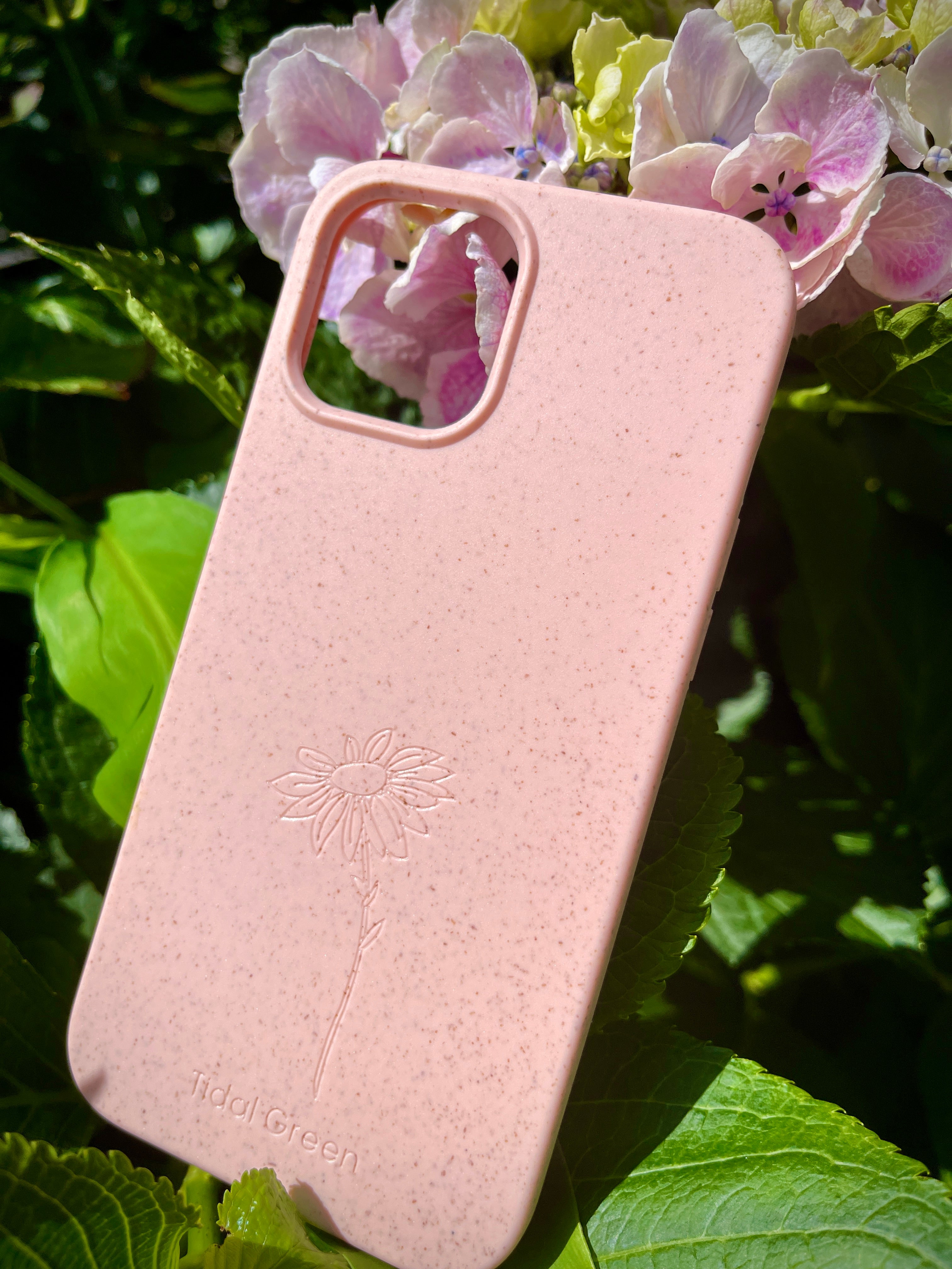 NEW ! day's eye: baby pink 桜色 – Tidal Green